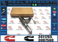 China High quality N14 diesel fuel injector 3411765 for Cummins N14 machinery parts injector 3411765 for sale