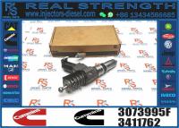 China Auto Parts Common Rail Diesel Fuel Injector 4307795 3073995F For Cummins QSN14 N14 for sale