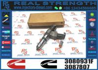 China Auto Parts Diesel Fuel Injector 4307516 6087807 3080931F For CUMMINS N14 diesel engine for sale