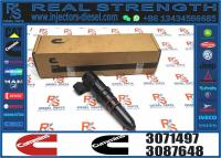 China High Quality Common rail injector 3071497 3064457 3071494 for cummins NT855 G4 NT855-G4 NT855 NTA855 for sale