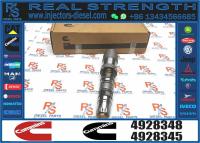 China Wholesale Directly Supply QSK19 QSK60 Engine Fuel Injector 4928348 for sale