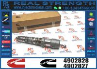China QSK23 QSK45 QSK60 Diesel Parts Common Rail Injector 4902828 4088428 4326780 4326781 4928346 for sale