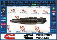 China Fuel Injector 2894920 5579415 2894920NX 5579415NX 2894920PX 5579415RX for Cummins HPI ISX15 Engine for sale
