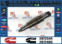 China Injector 2872544 Inyectores Nozzle enjektor 2872405 2057401 2086663 2488244 for Cummins ISZ13 QSZ1 QSZ13 QSX15 X15 ISX15 for sale