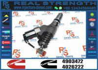 China 4903319 Diesel NT855 NTA855 Engine Parts Common Rail Fuel Injector 4062851 4903472 4026222 for sale