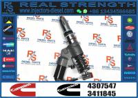 China QSM11 ISM11 M11 Diesel Engine Common Rail Fuel Injector 3411761 4307547 4903084 3064881 for sale
