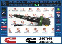 China QSK19 QSK50 QSK60 Diesel Fuel Injector 2882079 4964172 4964170 4955524 2867148 2867149 4964171 for sale