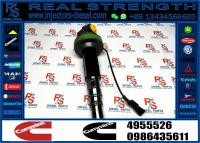 China Cummins Engine Injector Nozzle 4964172 & 4955526 for QSK38 QSK50 QSK19 6 Months Warranty Machinery Repair Shops for sale