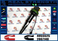 China NINE BRAND high quality diesel injector 4955525 Qsk19 injector fuel injector 4955525 for sale