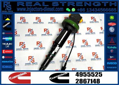 China NINE BRAND high quality diesel injector 4955525 Qsk19 injector fuel injector 4955525 for sale