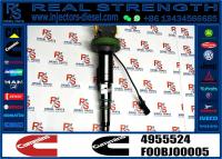 China 4964170 Diesel QSK19 Engine Common Rail Fuel Injector 4955524 2867149 4955527 2882079 4964173 for sale