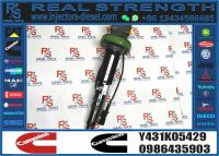 China High Performance Diesel Injector Y431K05429 Fuel Injector Y 431 K05 429 for sale