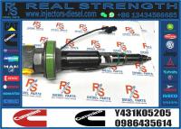 China High Performance Diesel Injector Y431K05429 Fuel Injector Y431KO5205 for sale