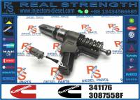 China Diesel Common Rail Diesel Fuel Injector 341176 3411381 3411762 For Cummins QSN14 N14 for sale