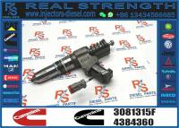 China Nine Brand Diesel Hot Sale high quality Common Rail Injector 3081315F for sale