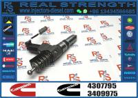 China Wholesale High Level Fuel Injector 4307795 3087733 3095086 3411691 3411759 3411764 3411765 3411766 4307516 3083846 30875 for sale