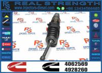 China ELIC Excavator 4062569 4928260 1846348 4954434 Engine Common Rail Fuel Injector for sale