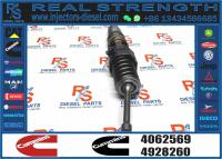 China ELIC Excavator 4062569 4928260 1846348 4954434 Engine Common Rail Fuel Injector for sale
