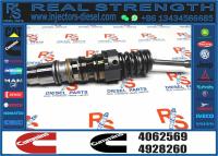 China ELIC Excavator 4062569 4928260 1846348 4954434 Engine Common Rail Fuel Injector for sale