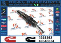 China Nine Brand Good Performance High Quality Auto Parts Diesel 4928262 Injector for sale