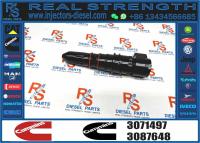 China Diesel Common Rail Injector 3406604 3411821 3071497 3087648 4914328 3018835 3079946 For C-ummins M11 Engine for sale