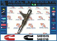 China Common rail injector fuel injecto 4307475 4307468 5461710 5491515 for ISG Excavator Engine for sale