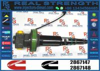 China New Repair Kit For K19 Diesel Engine Injector Model Numbers 2867147 2867149 2882077 4928349 4955524 4964170 4964171 4964 for sale