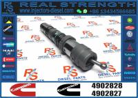 China Parts QSK19 QSK23 QSK45 QSK60 PC1250-7 Fuel Injector 4088431 4076533 4902827 4326781 6560-11-1114 for sale