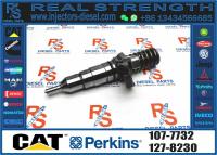 China Hot sell Fuel engine diesel pump injector 4P-2995 4P2995 for Caterpillar 33116 Engine CAT injector 107-7732 0R-0471 for sale