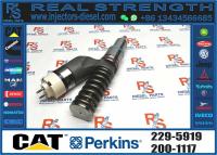 China Injector 229-5919 For CAT 15 Diesel Engine Factory Price for sale
