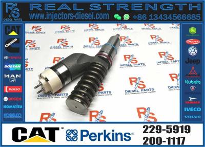 China Injector 229-5919 For CAT 15 Diesel Engine Factory Price for sale