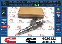 China Fuel Injector 4026222 4903472 for Cummins ISM11 QSM11 M11 for sale