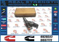 China injector diesel machinery engine parts 4928517 For CUMMINS ISM QSM M11 Engine for sale