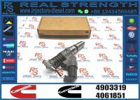 China fuel injector M11 4903472 4061851 4026222 4903319 for sale