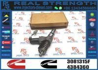 China High Quality 3081315F Common Rail Injector 3081315F Auto Parts Injector for sale