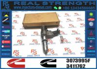 China N14 Common Rail Fuel Injector 3411764 3081315F 3073995F 3083846T 3083848F 3411766F for sale