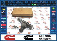 China Diesel High Quality 4307795 Common Rail Injector 4307795 Auto Parts Injector for sale