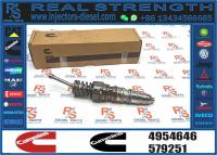 China Fuel Injector 4088723 4954646 1846351 4954648 570016For CUMMINS for sale