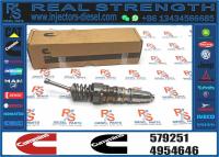 China Injector 570016 579251 579261 4954648 1764364 579261 For cummins SCANIA HPI Engine for sale