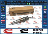 China Fuel Injector 1529790 Common rail injector 1529790 for SCANIA for sale