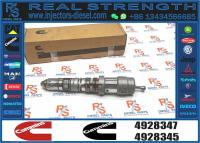 China Fuel Injector 4928349 4928345 4928346 4928347 For QSK Engine for sale