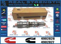China fuel injector 4902828 4088431 4902827 injector for cummins QSK60 for sale