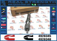China Fuel Injector 4928349 4928345 4928346 4928347 For QSK Engine for sale