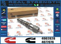China fuel injector 4902828 4088431 4902827 injector for cummins for sale