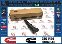 China Fuel injector Assembly M11 PT 3064881 3071497 Fuel injector for sale