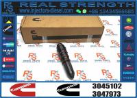 China Diesel Engine Parts Injector 3045102 for Cummins for sale