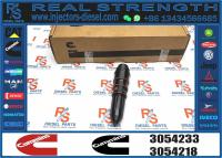 China injector 3054233 fuel injector for sale