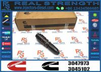 China Injector 3047973 for cummins diesel fuel injector for sale