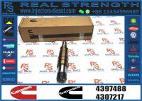 China njector 2872544 2872289 2872284 4955080 for DCEC Cummins Engine for sale