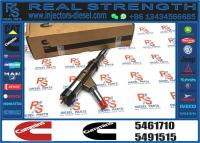 China 4307475 4307468 5461710 Engine Common Rail Fuel Injector for sale